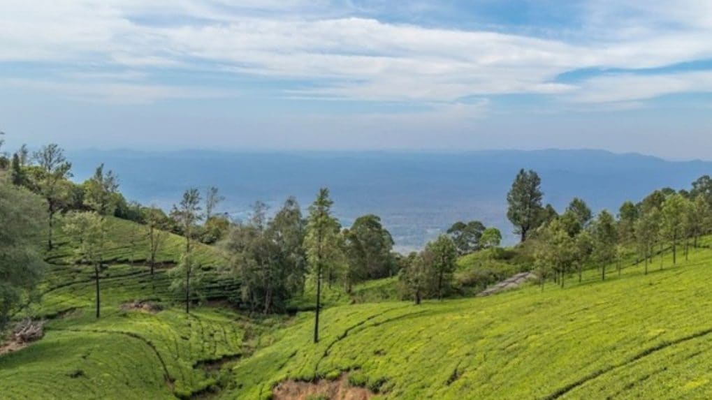 Agoda spotlights India’s increasingly popular ‘Chai Destinations’ ahead ...