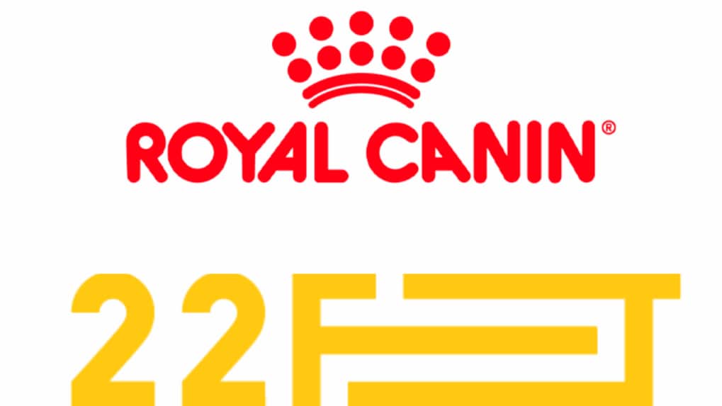 Royal Canin India awards digital duties to 22feet, aims to drive ...
